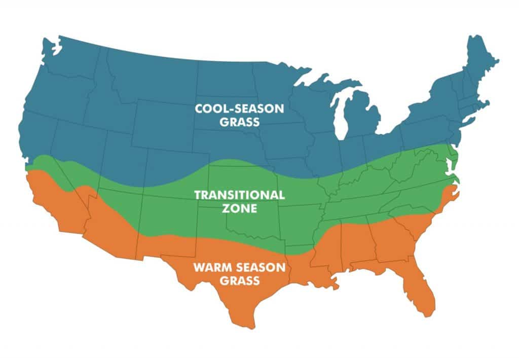 How to Plant Grass Seeds - The Lawn Mowing King